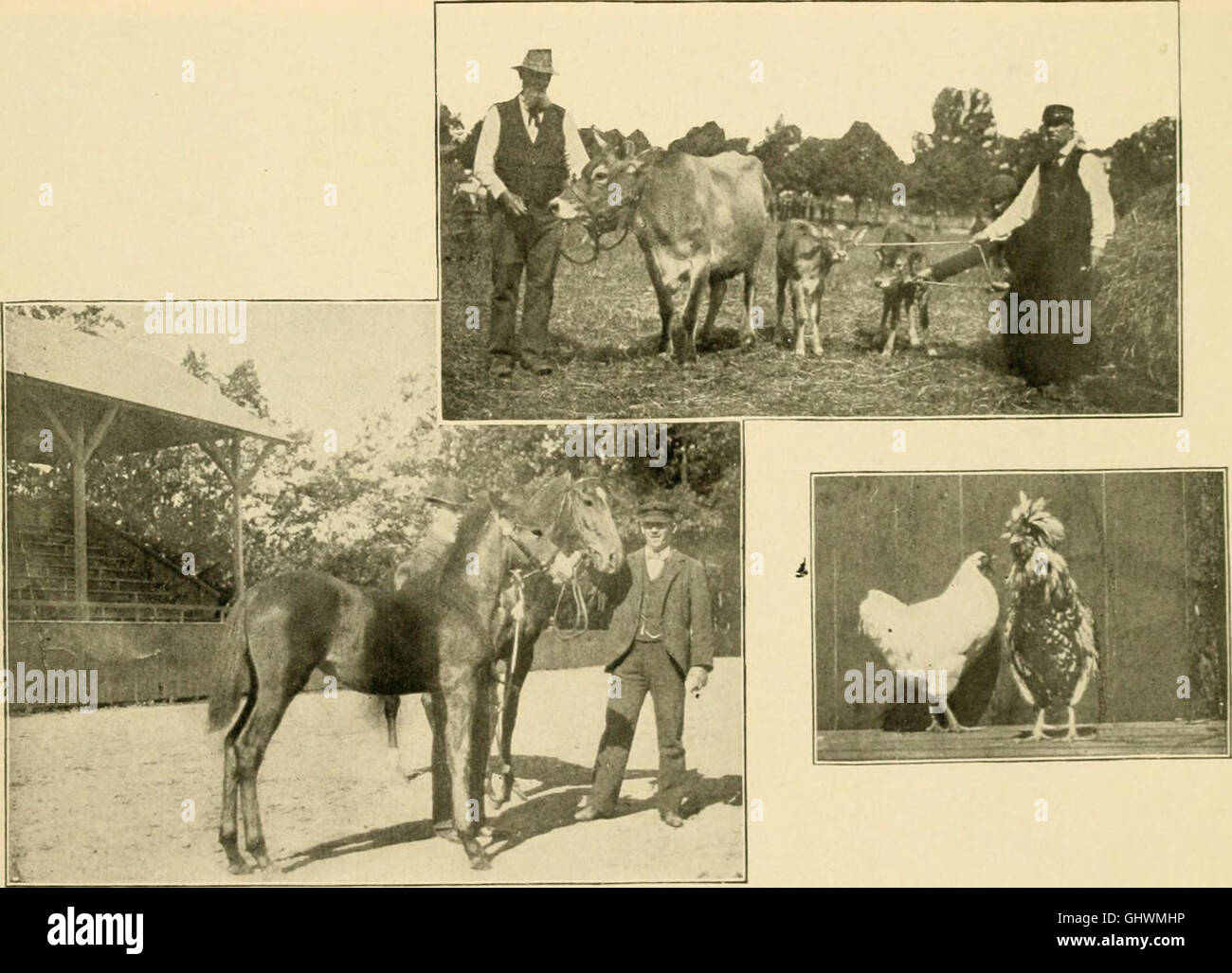 Unique Long Island (1901) captures various scenic views and landmarks ...