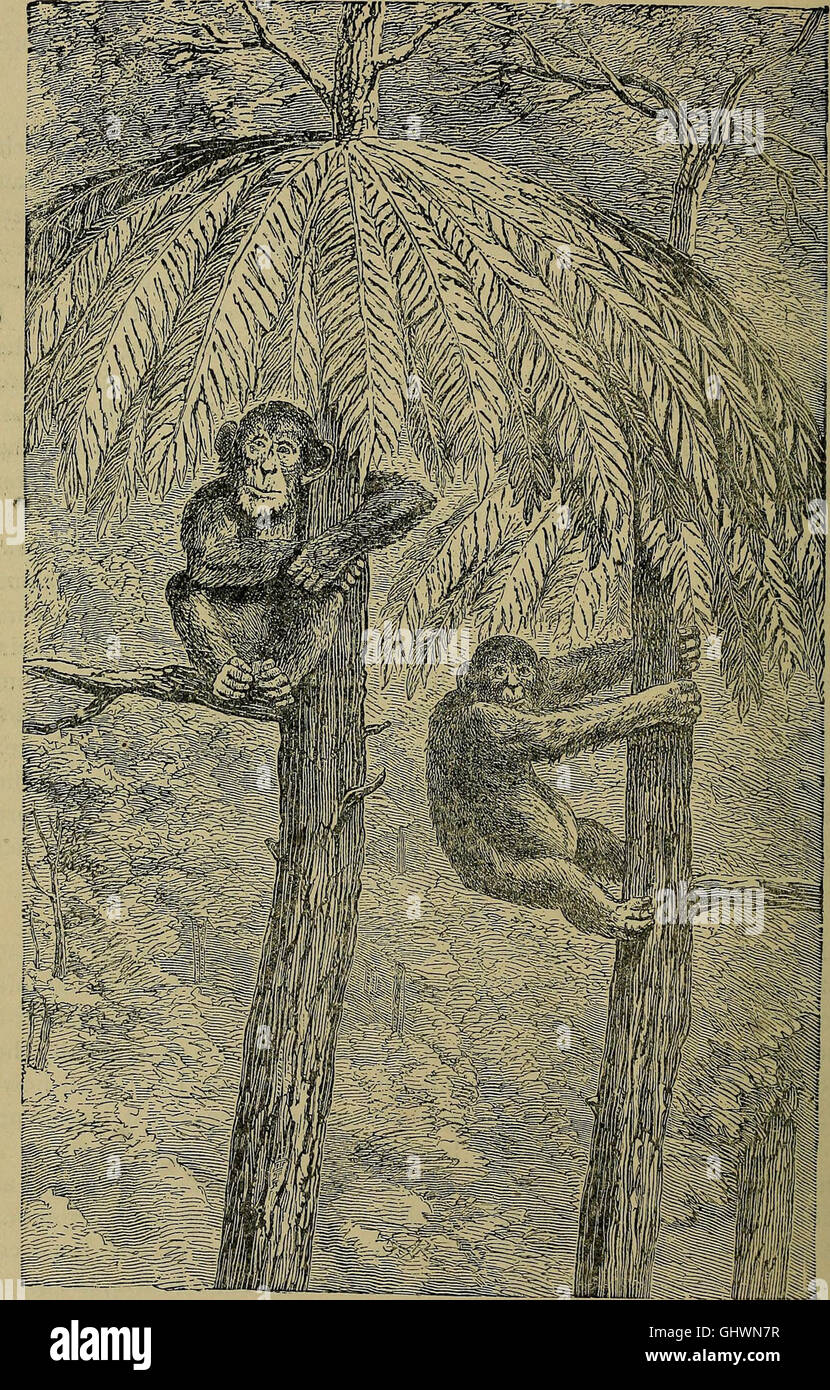 Speke map hi-res stock photography and images - Alamy