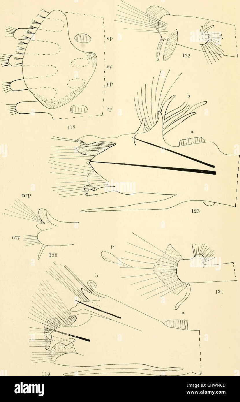 This 1911 multi-volume work presents the results of fishing experiments ...