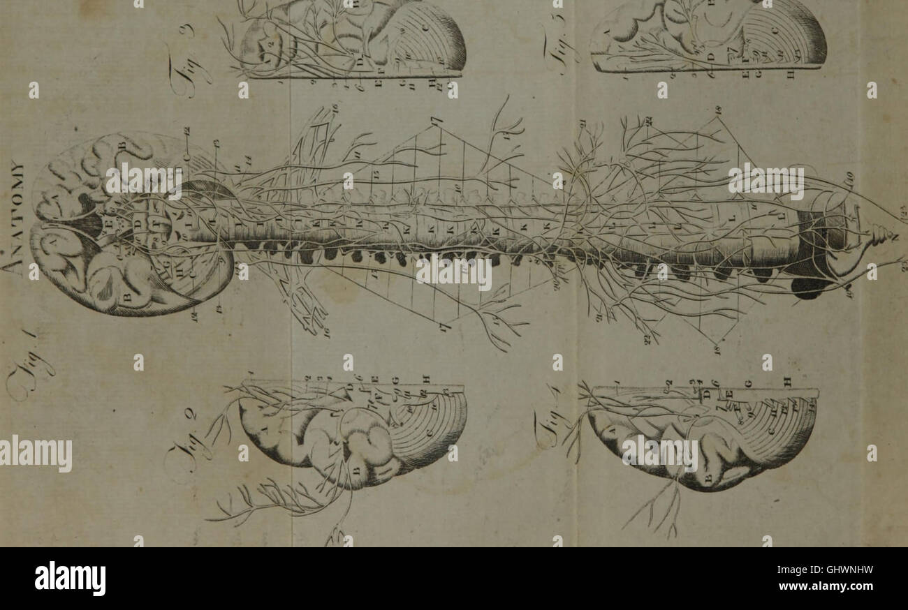 This 1817 volume provides an in-depth examination of human anatomy ...
