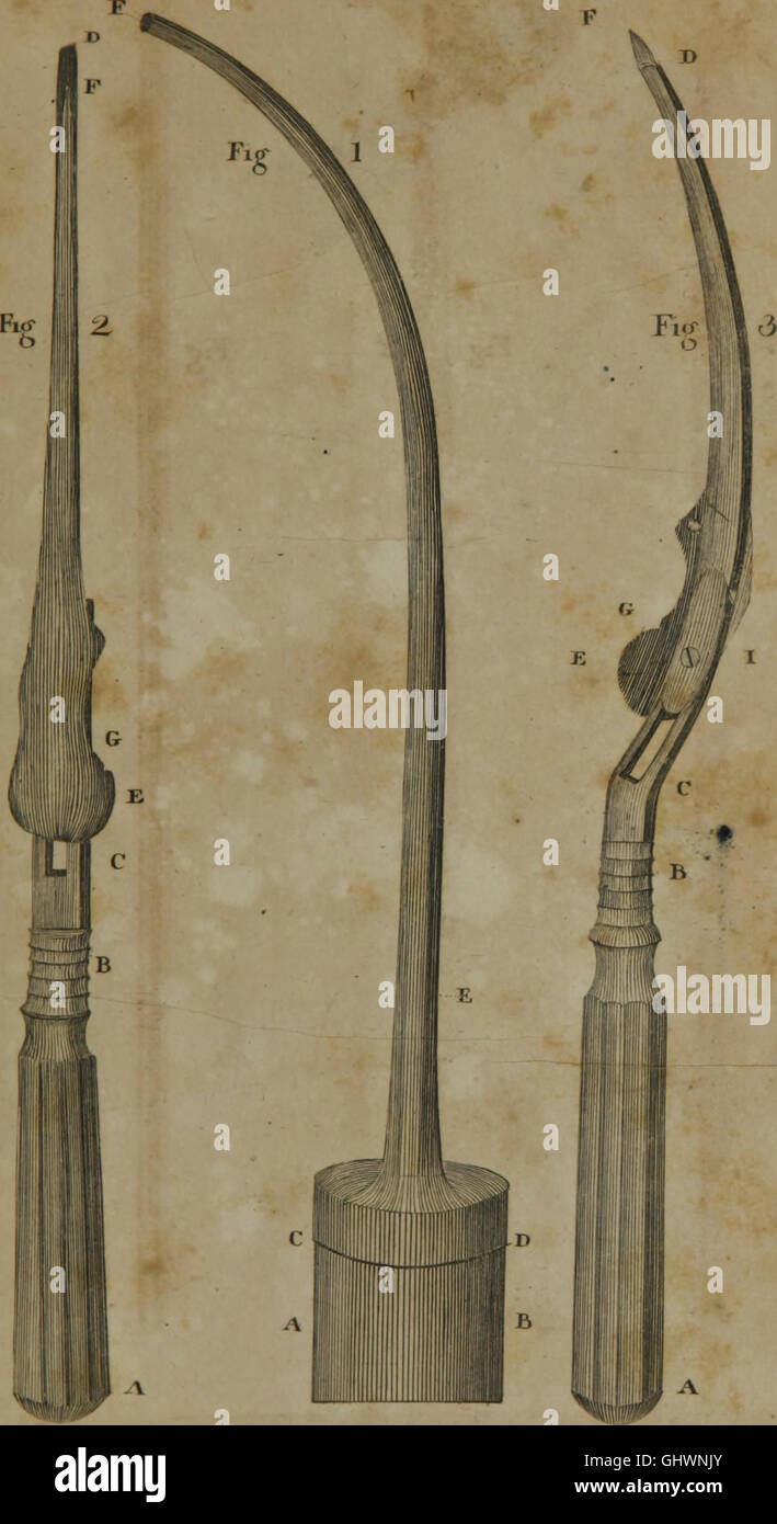 This volume of 'A System of Surgery' offers an in-depth look at ...