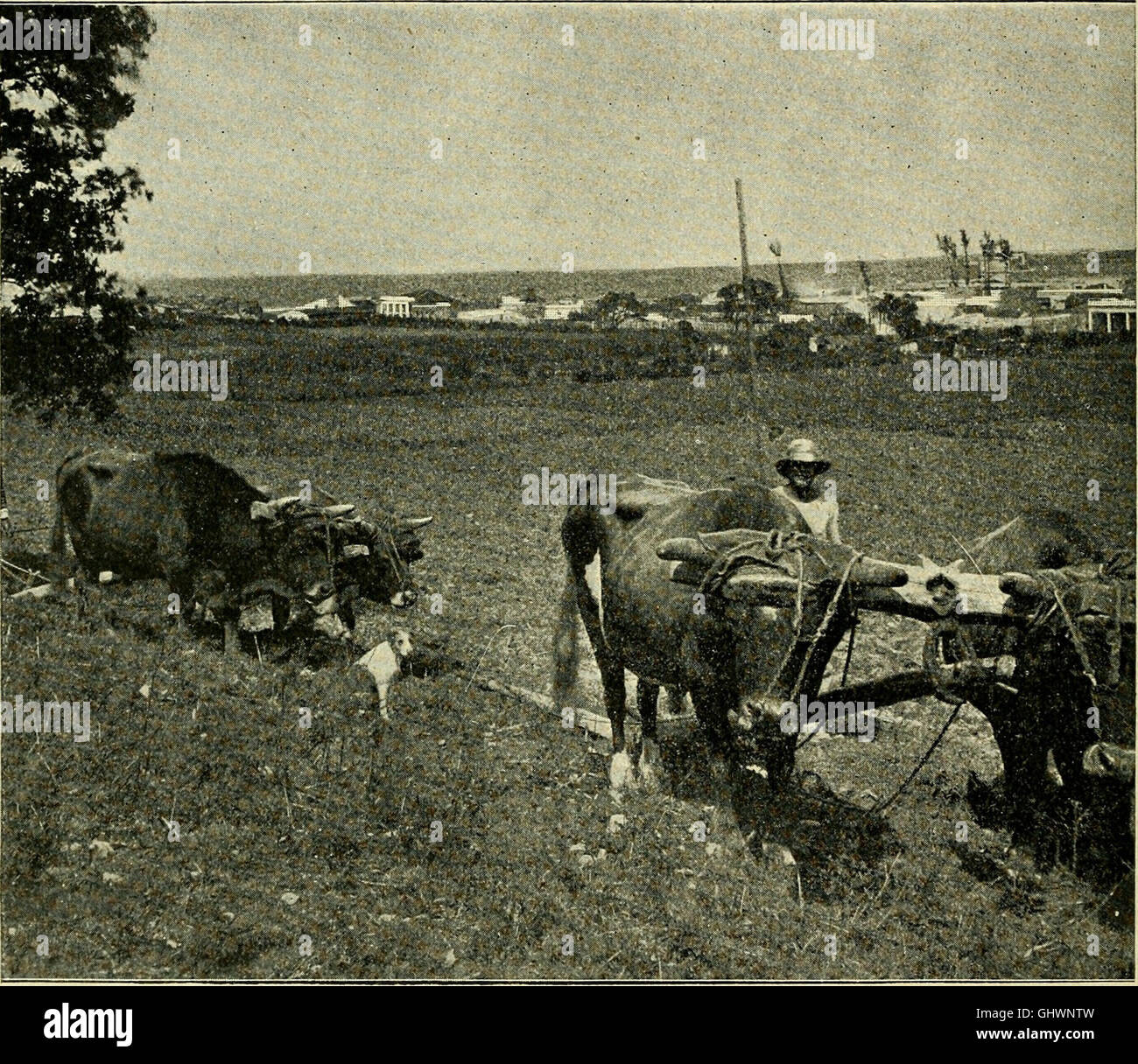 *America's War for Humanity* (1898) recounts the history of the Spanish ...