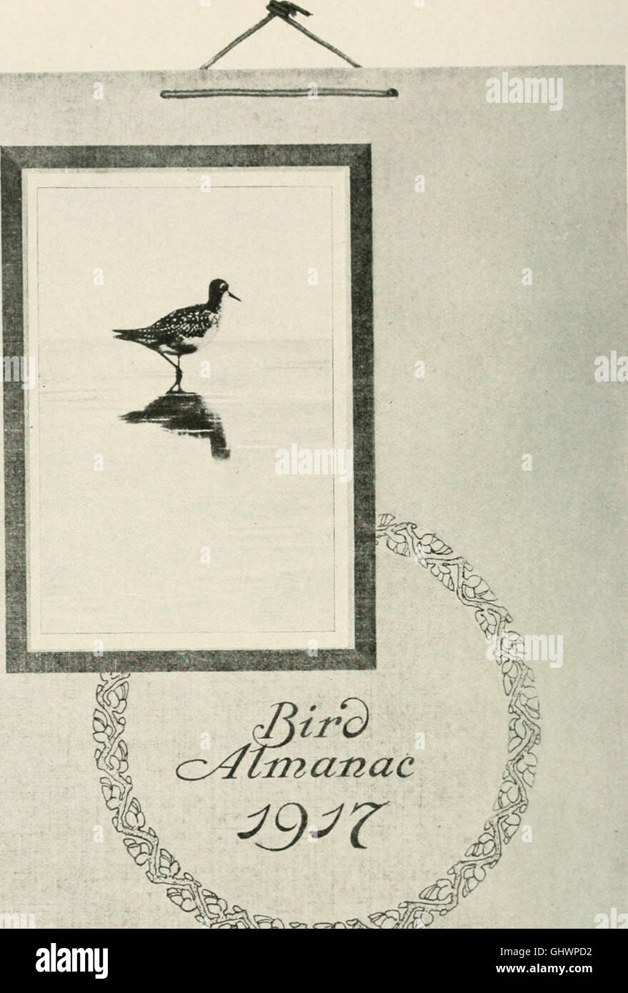 Bird-lore, published in 1918, explores birdwatching, conservation, and ...