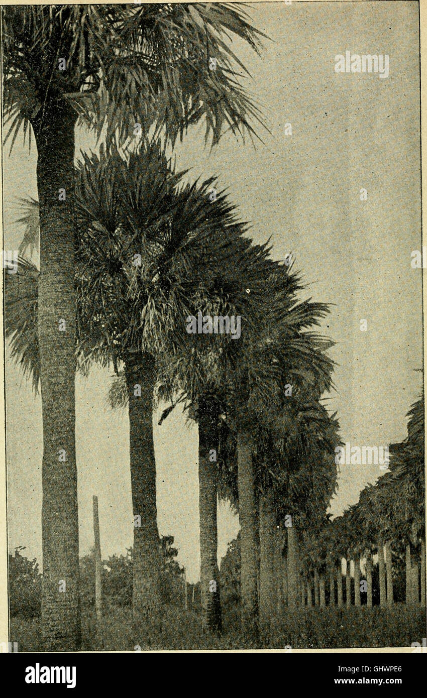 This 1898 work provides a detailed history of Cuba's fight for ...