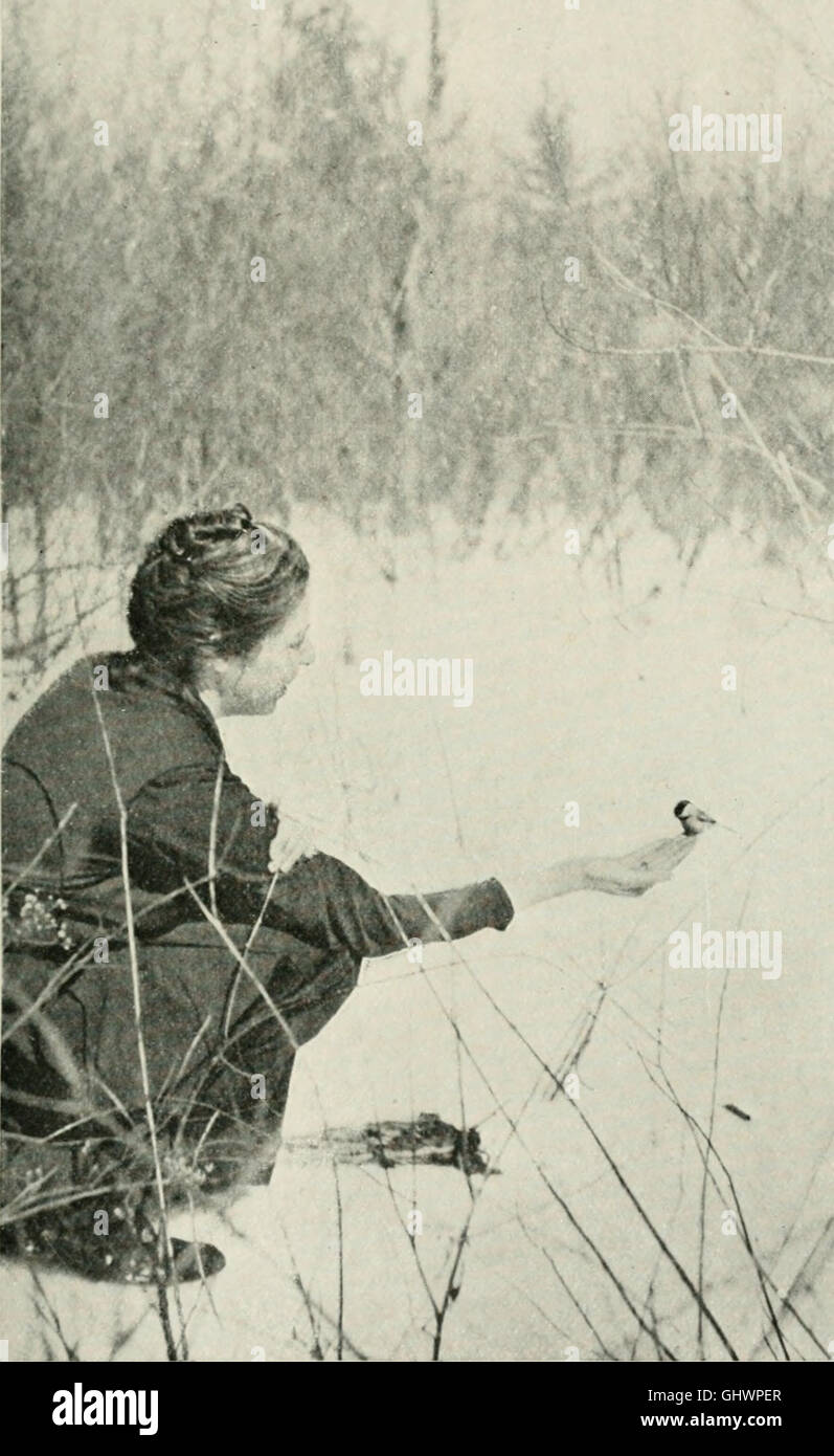 'Bird-lore' (1921) is a periodical focusing on ornithology ...