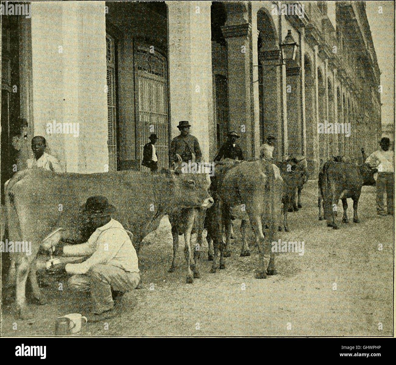 This 1898 work offers a narrative and pictorial history of Cuba's fight ...