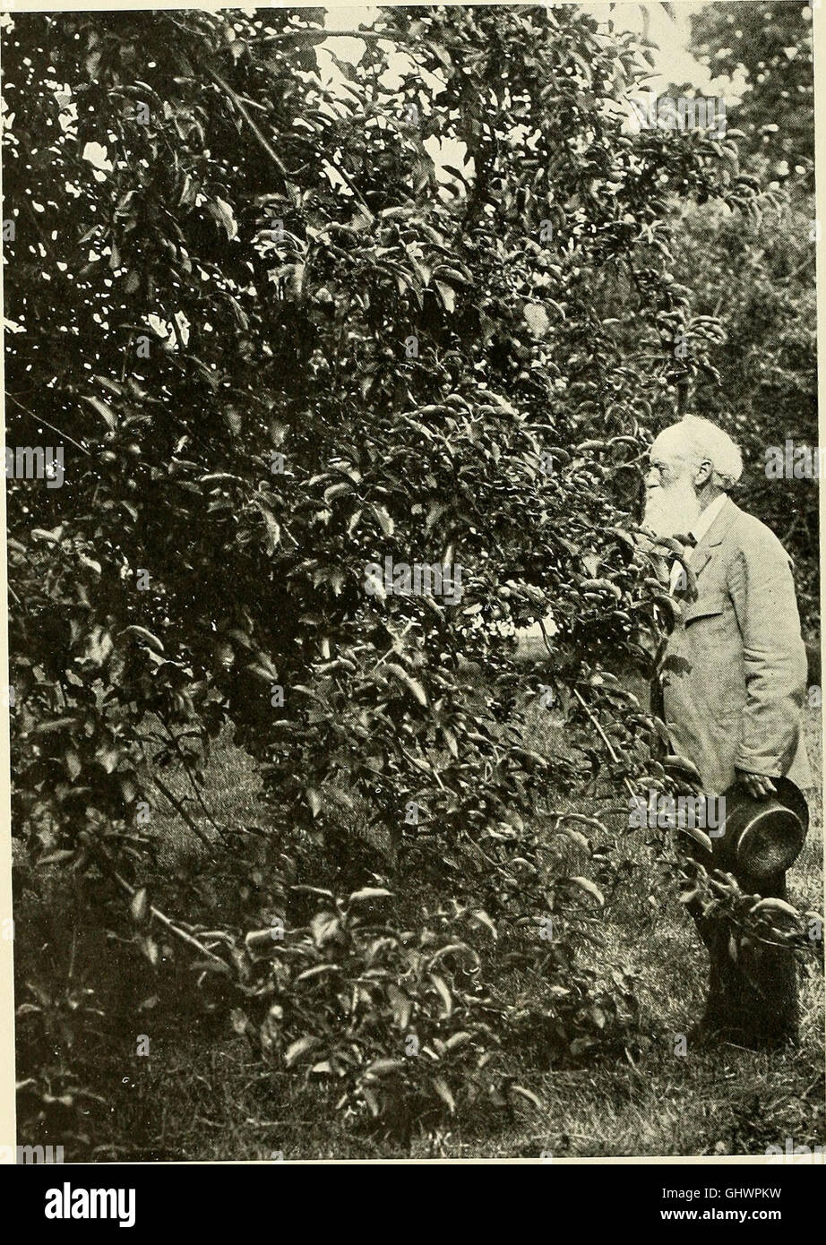 A 1901 work dedicated to bird observation, providing detailed insights ...