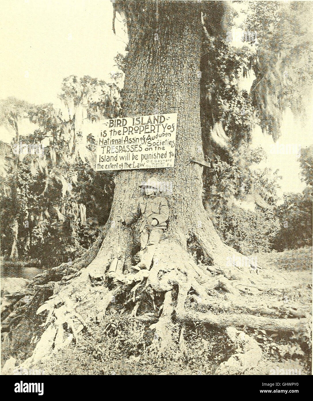 'Bird Lore' (1912) is a publication dedicated to ornithology, focusing ...