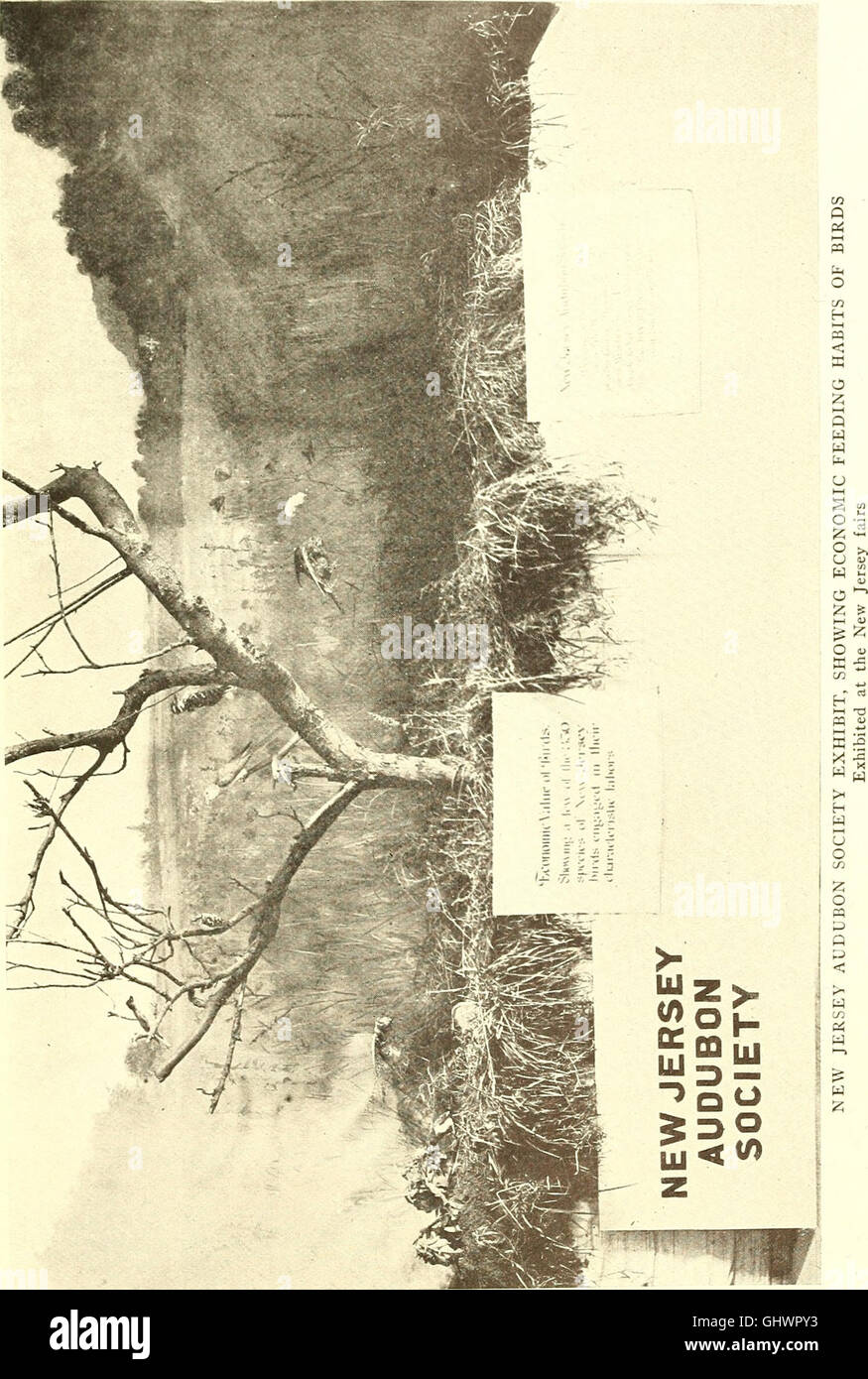 Bird Lore (1912) is a publication that covers topics related to the ...