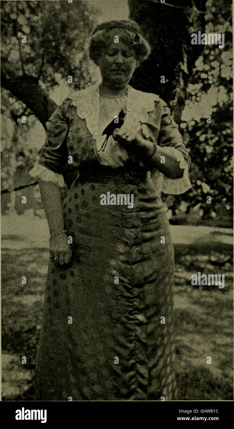 Bird Lore (1914) is a publication dedicated to the study and ...