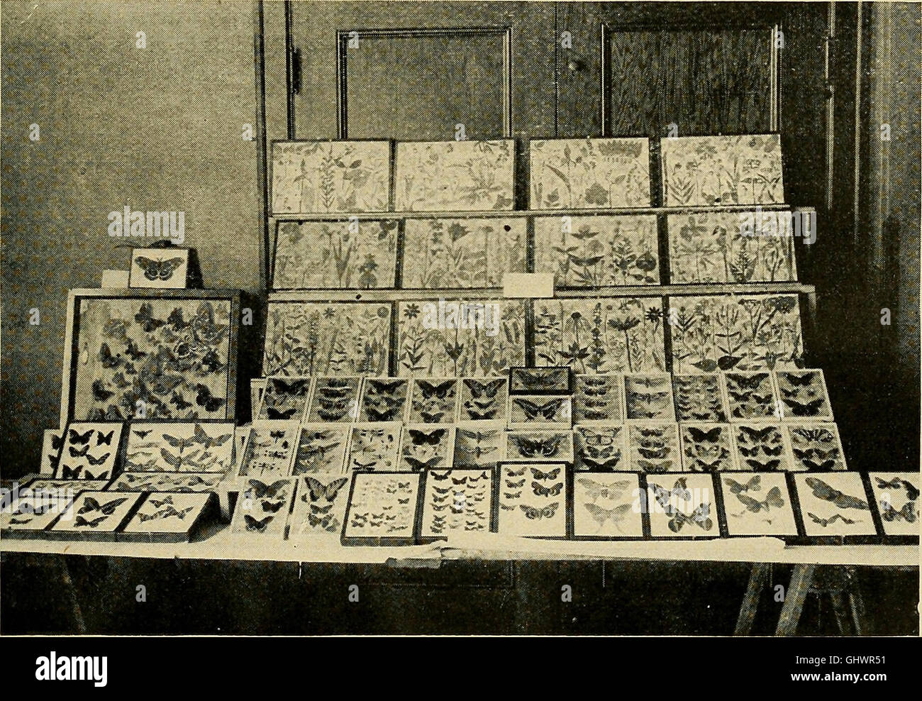 'Bird Lore' (1918) is a publication dedicated to the study and ...