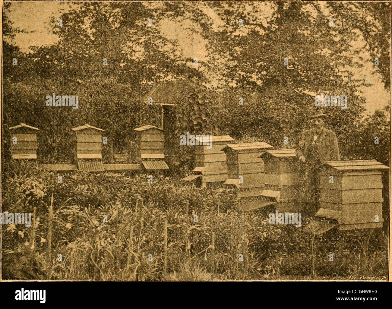 The British Bee Journal (1898) provides valuable information on ...