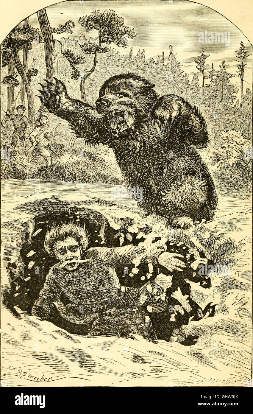 Bruin - the grand bear hunt (1861 Stock Photo - Alamy