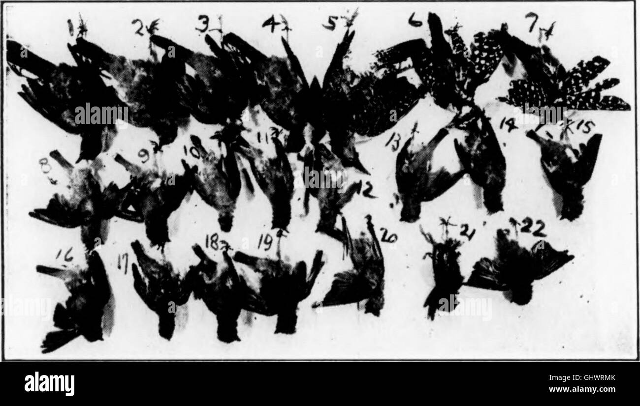 Hunting information Black and White Stock Photos & Images - Alamy