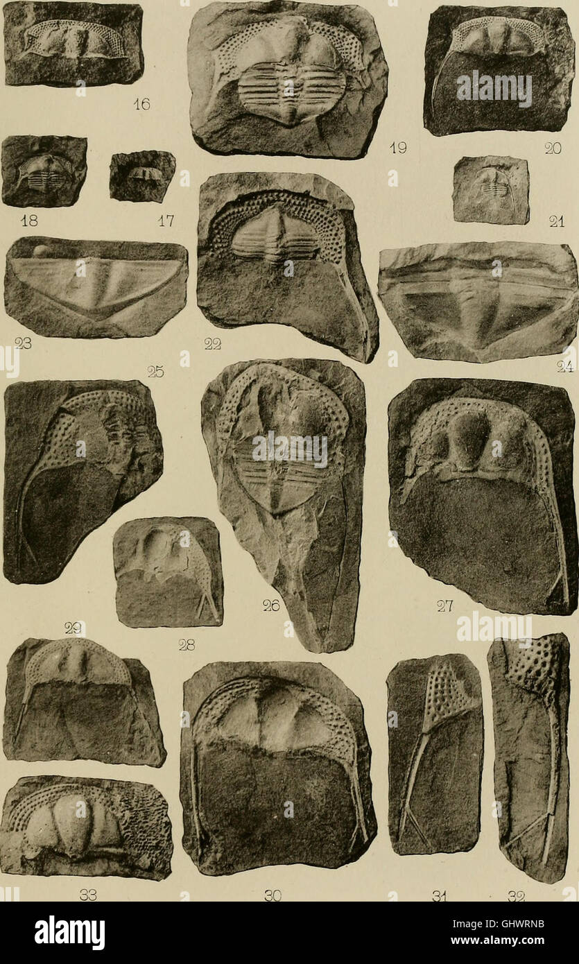 This 1895 publication from the Société Géologique de France presents ...