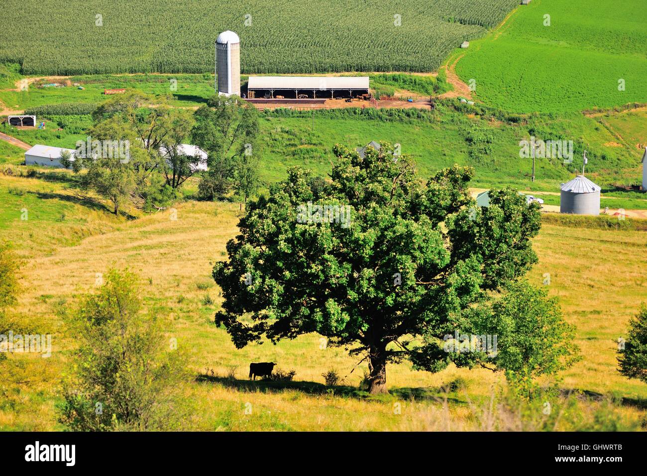 Iowa corn fields hi-res stock photography and images - Alamy