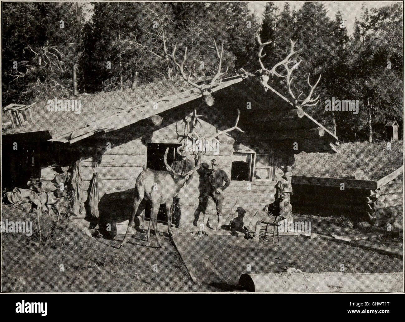 'Campbell's New Revised Third Edition Complete Guide and Descriptive ...