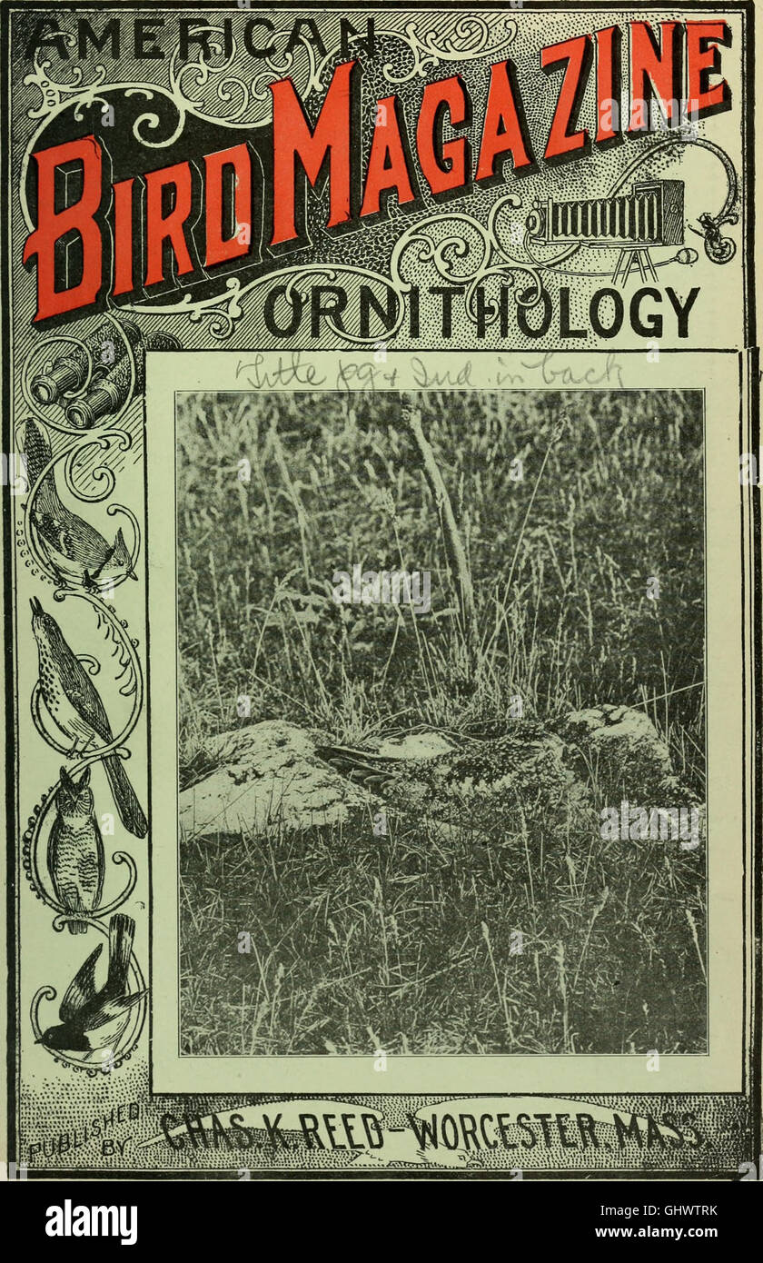 This 1905 publication on American ornithology provides comprehensive ...
