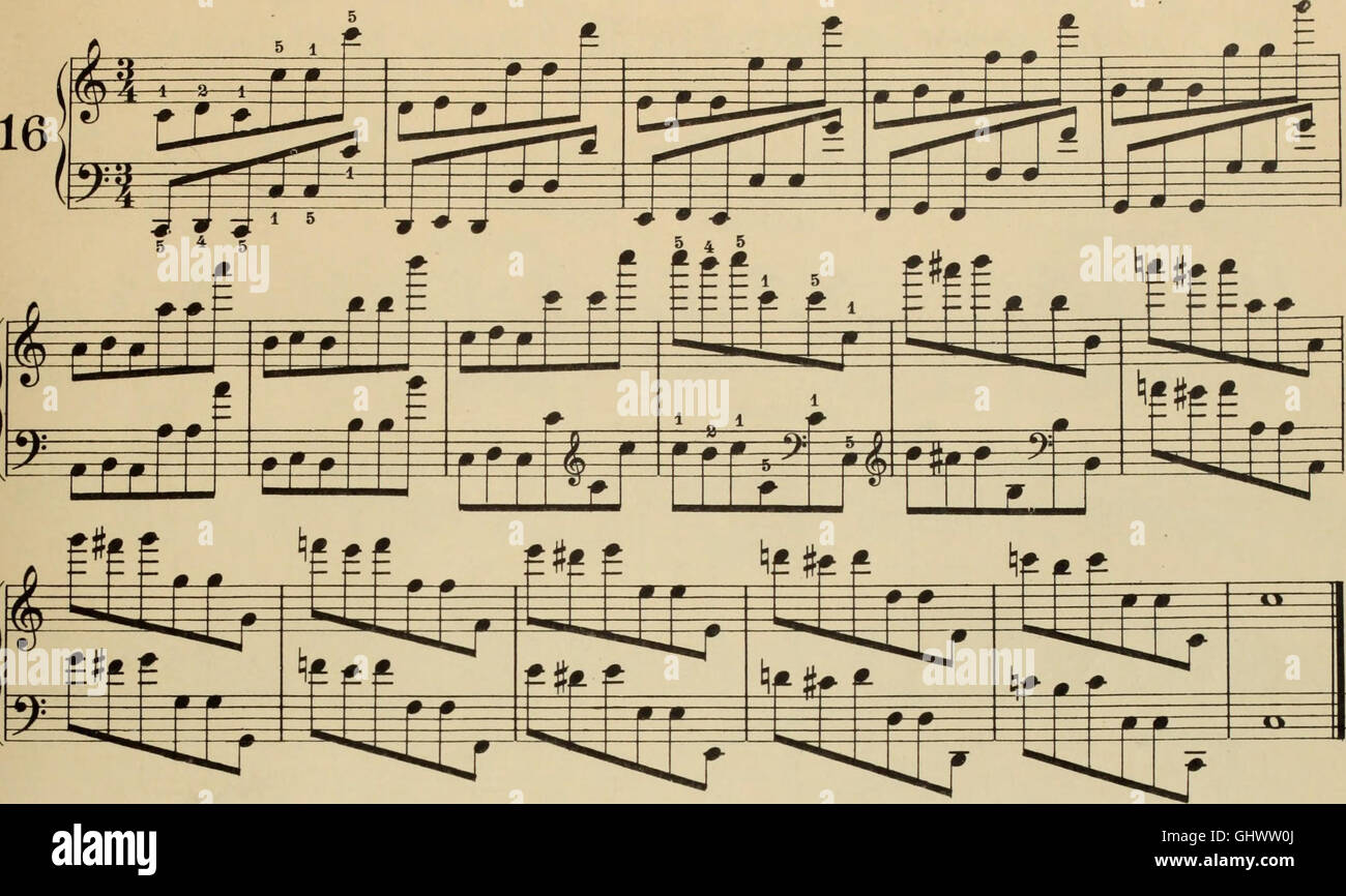 This piano technique guide covers various aspects of pianoforte playing ...