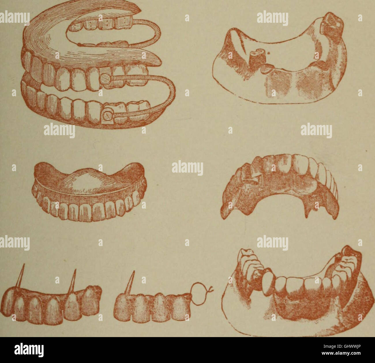 A professional guide to dental practices and procedures, offering ...