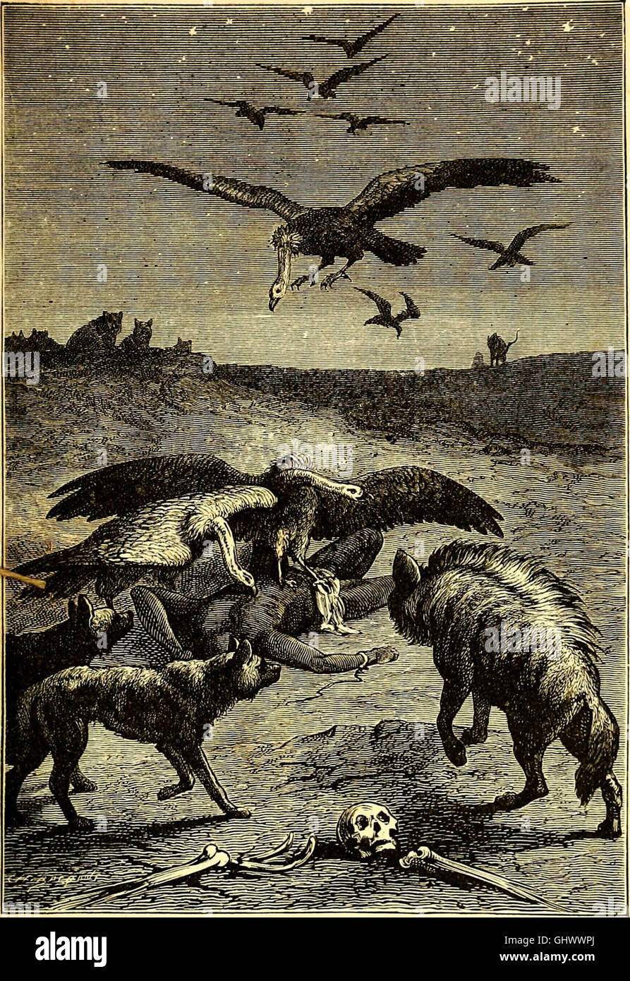 This 1882 novel tells the story of Dick Sands, a young boy who becomes ...