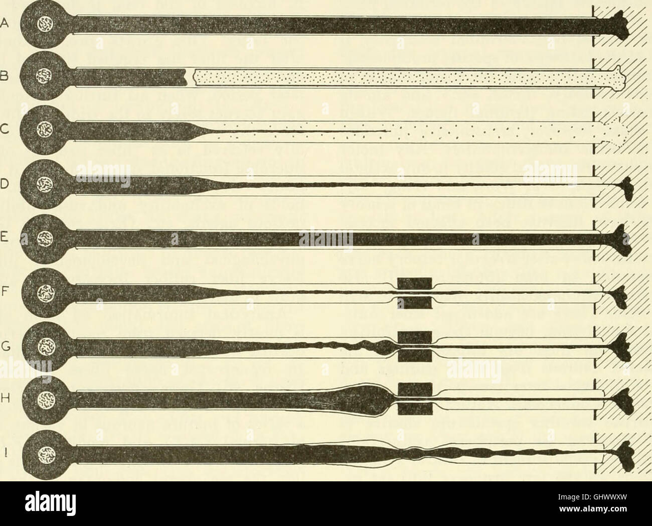 This 1955 work presents an in-depth analysis of societal and economic ...