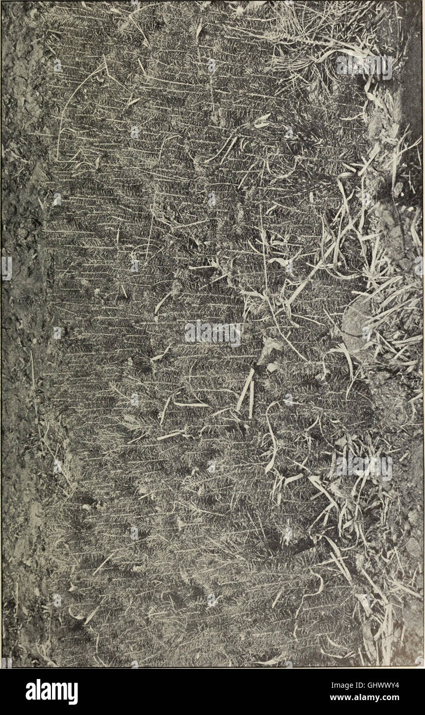 This document from 1909 provides official records and proceedings from ...