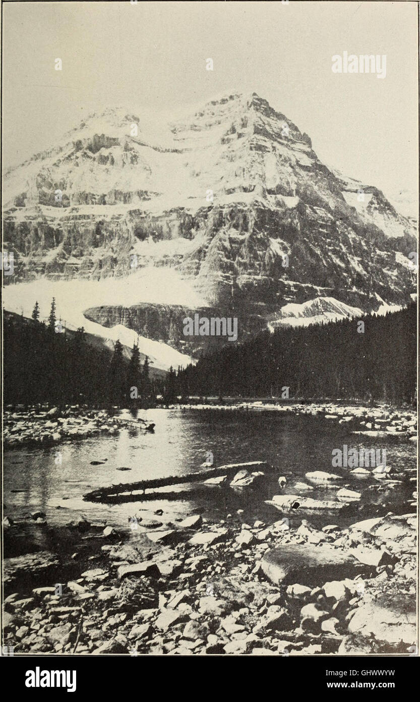 This 1909 Canadian government document includes official records from ...