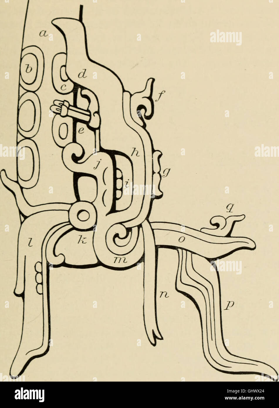 *Ancient Civilizations of Mexico and Central America* (1928) explores ...
