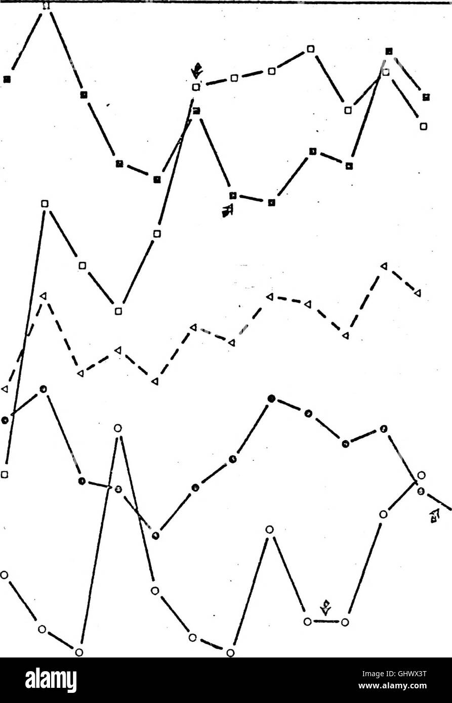 The study 'Effect of Depth of Rooting on Citrus Root Structure and ...