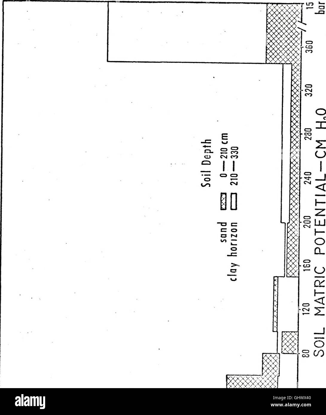 This 1974 study explores how varying depths of rooting affect citrus ...