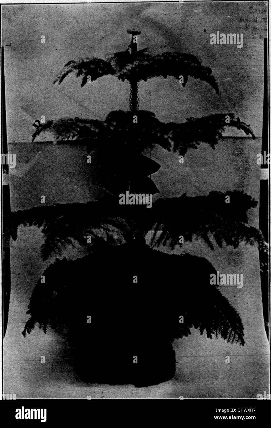 The Florists' Review is a periodical dedicated to the floral industry ...