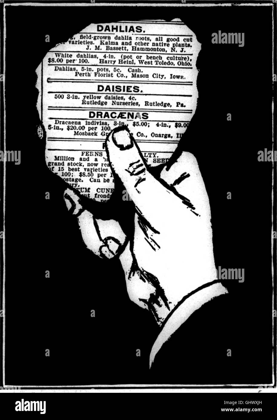 Floral expert Black and White Stock Photos & Images - Alamy