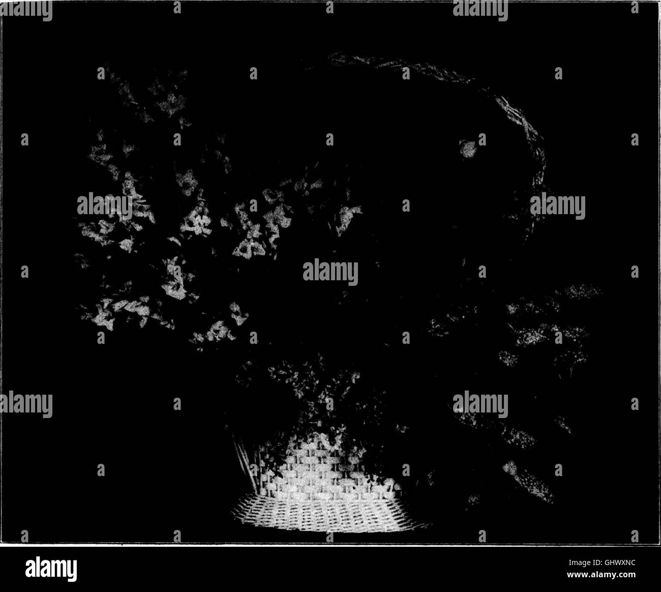 The 1912 Florists' Review provides industry insights into the floristry ...