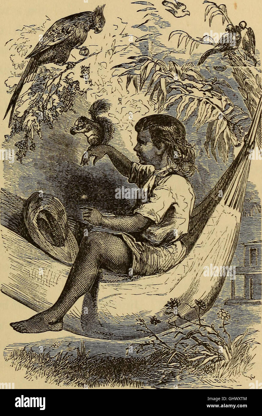 'Four Feet, Wings, and Fins' (1879) explores the different forms of ...