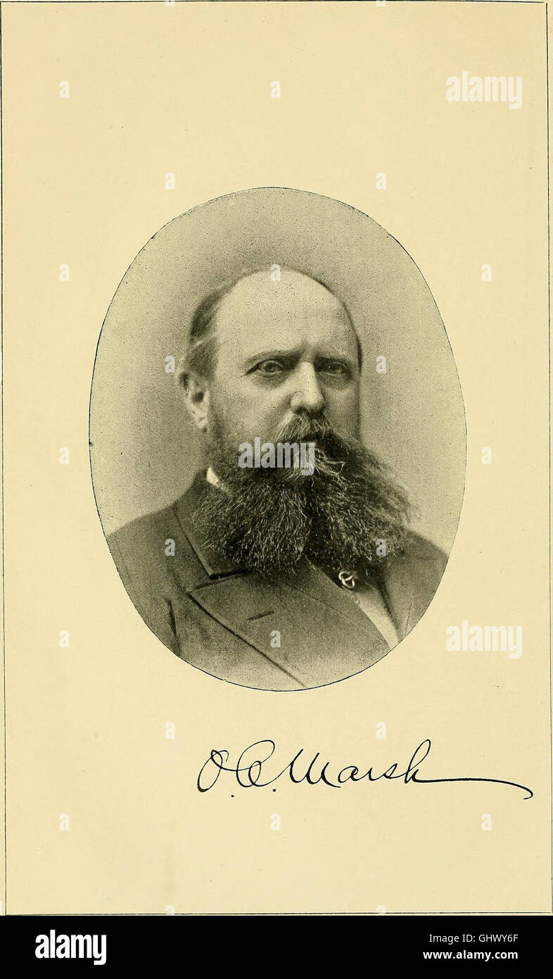 The 1899 edition of 'Geological Magazine' covers a variety of studies ...