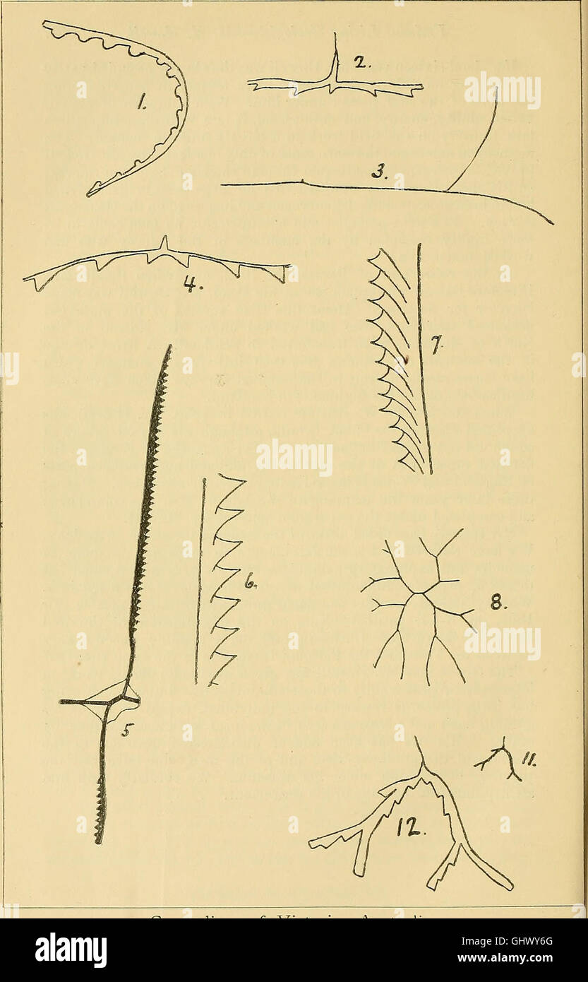 The 1899 issue of the 'Geological Magazine' presents a range of ...