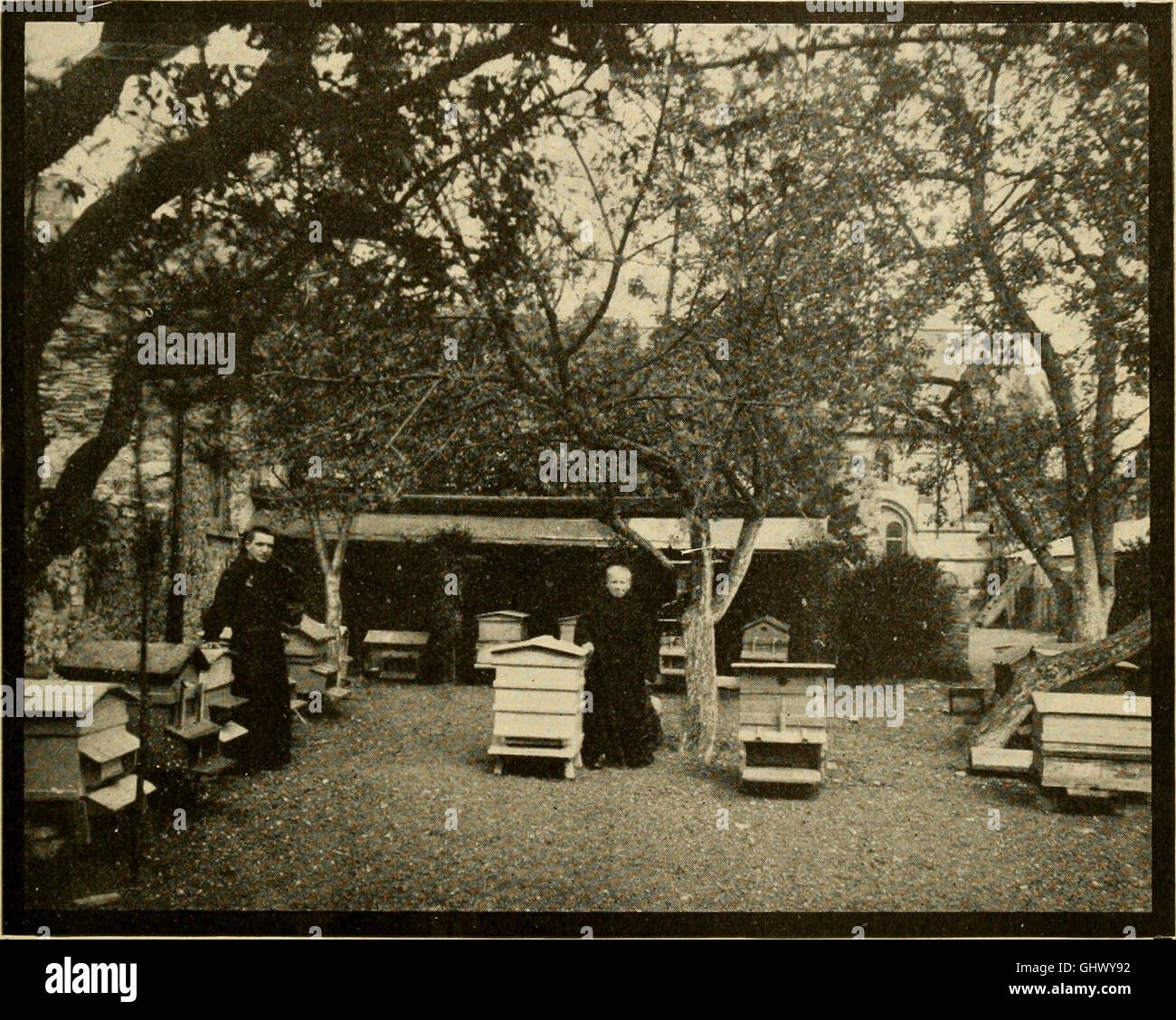 This 1907 work on bee culture covers various aspects of beekeeping ...