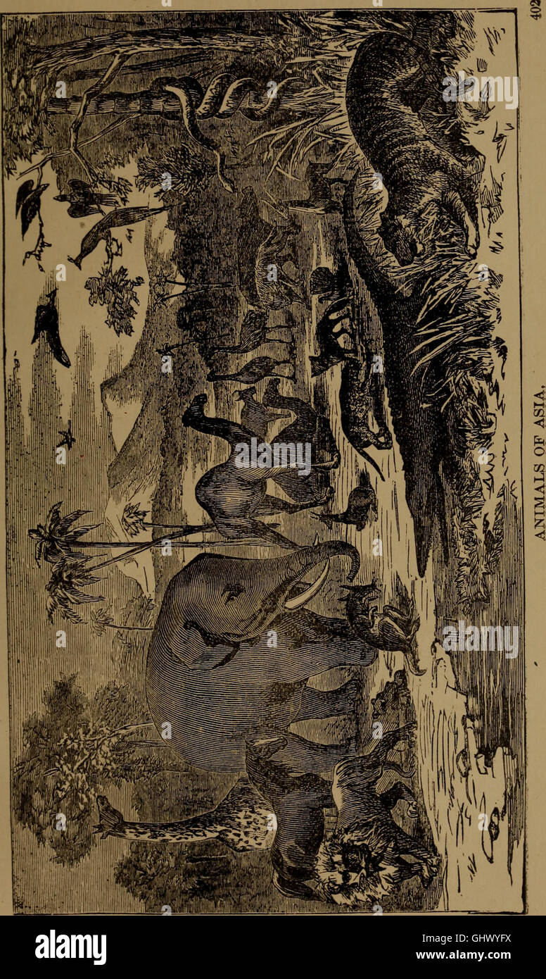 God in nature and revelation (1875 Stock Photo - Alamy