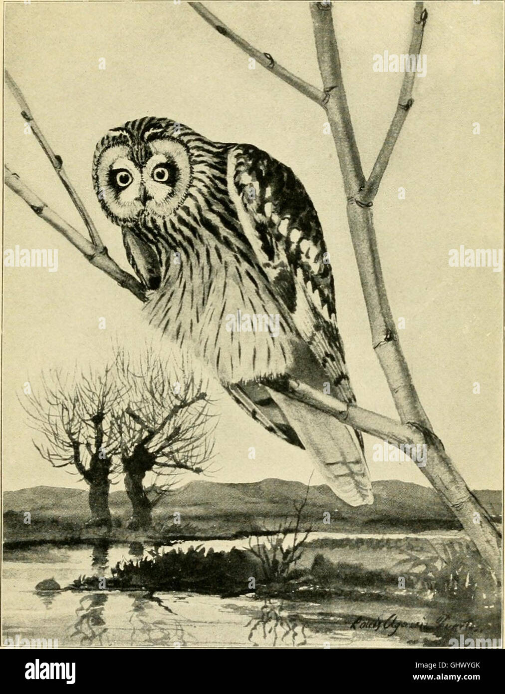 Lady bird books hi-res stock photography and images - Alamy