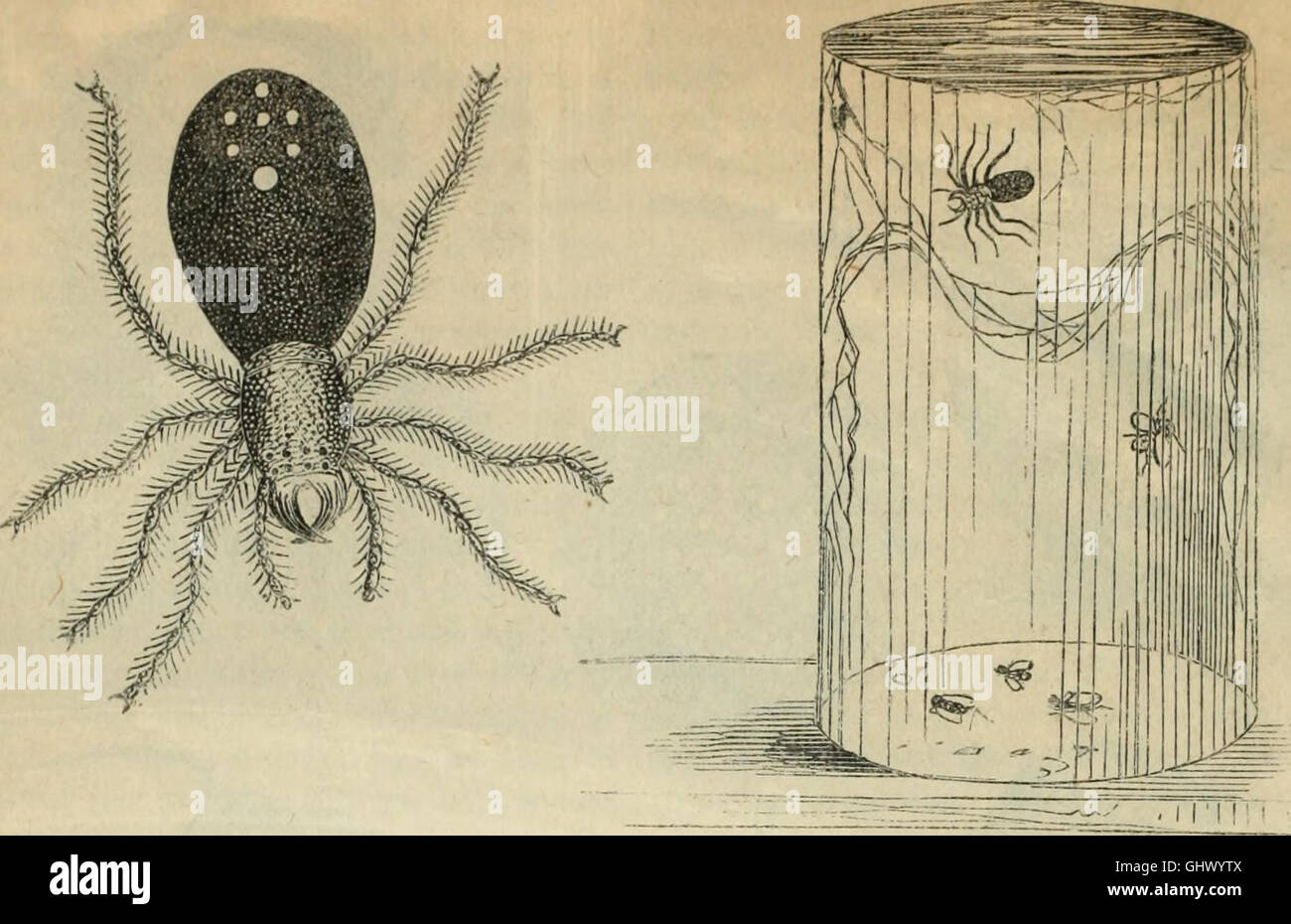 Volume 21 of Harper's New Monthly Magazine (1860) features a variety of ...