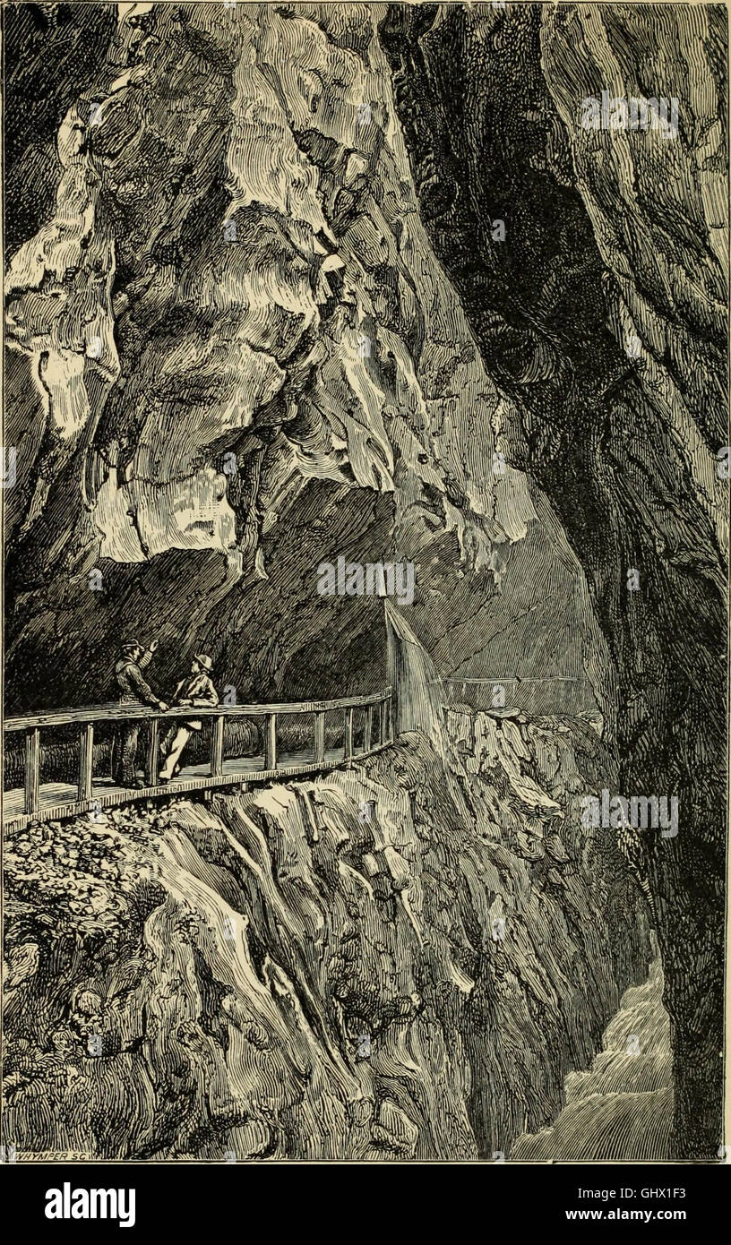 'Hours of Exercise in the Alps' (1896) details various physical ...