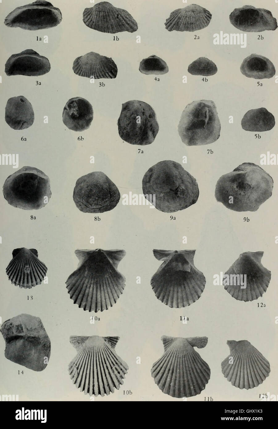 Earthly things hi-res stock photography and images - Alamy