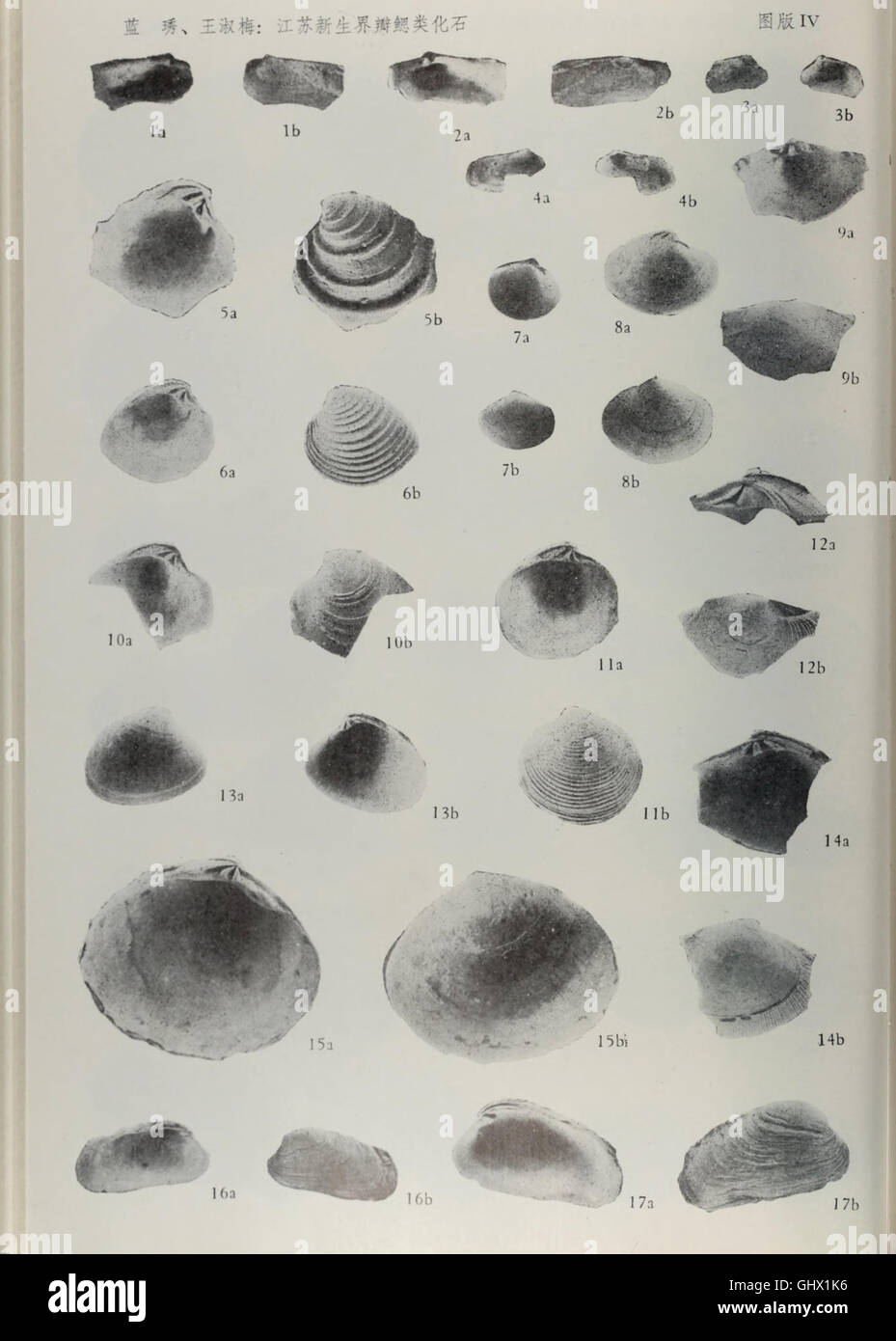 Husbandry spiritualized, or, The heavenly use of earthly things ...