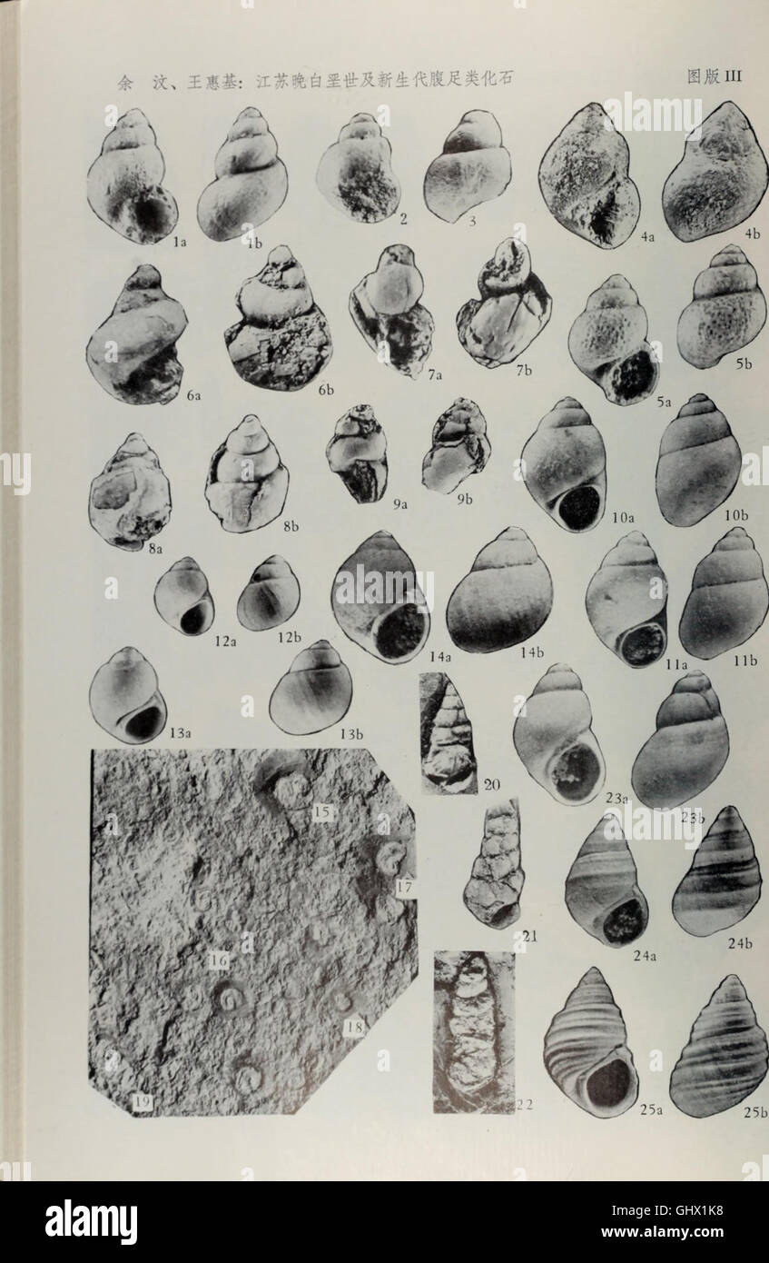 Earthly things hi-res stock photography and images - Alamy