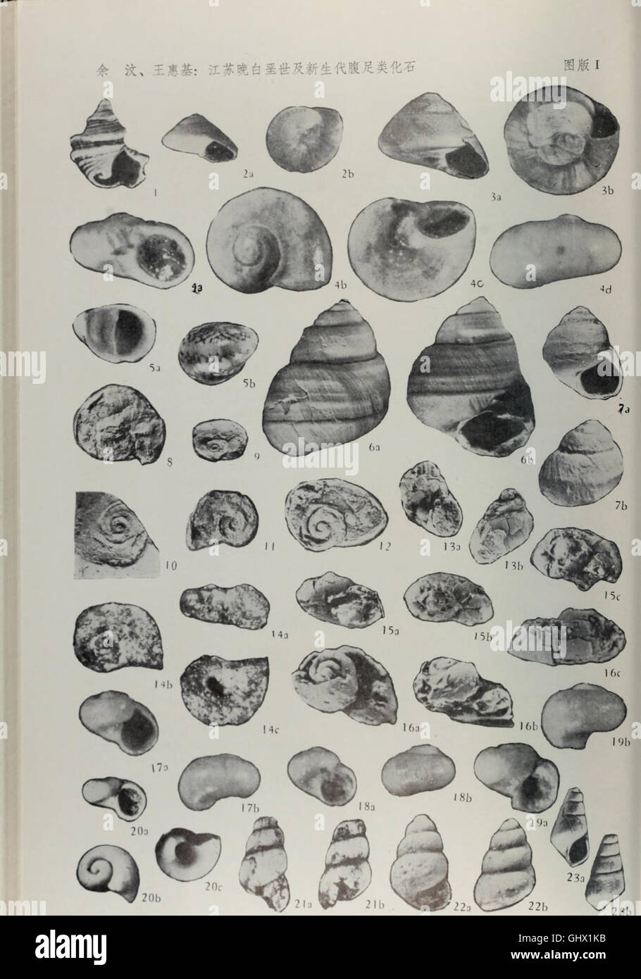 Husbandry spiritualized, or, The heavenly use of earthly things ...