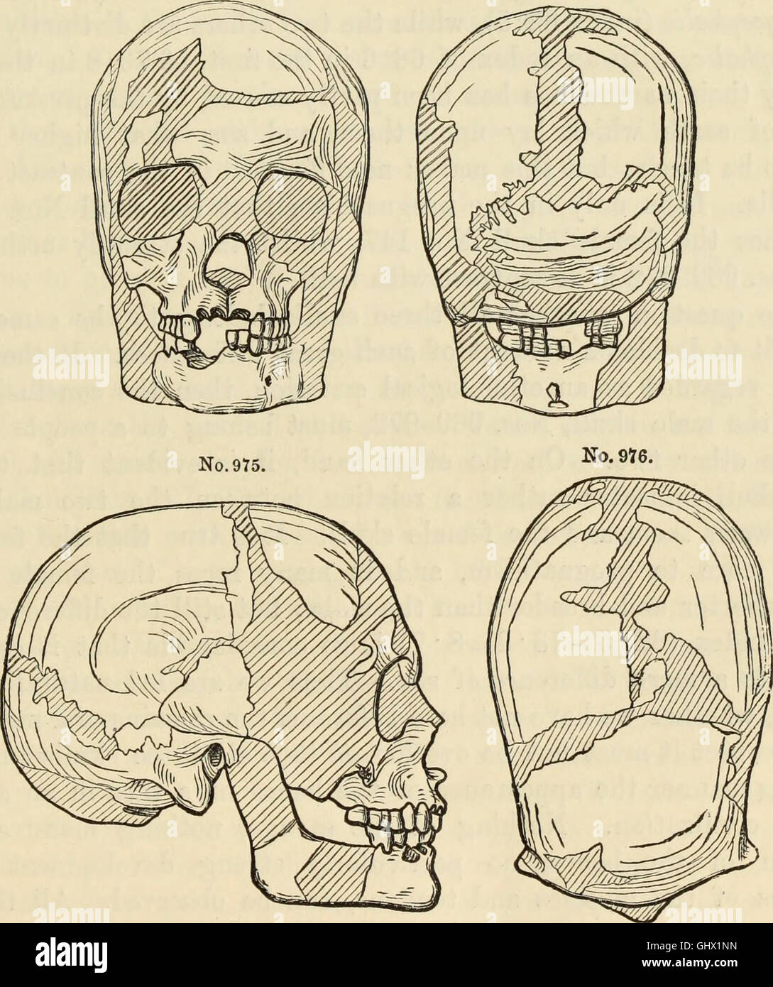 *Ilios: The City and Country of the Trojans* presents the findings of ...