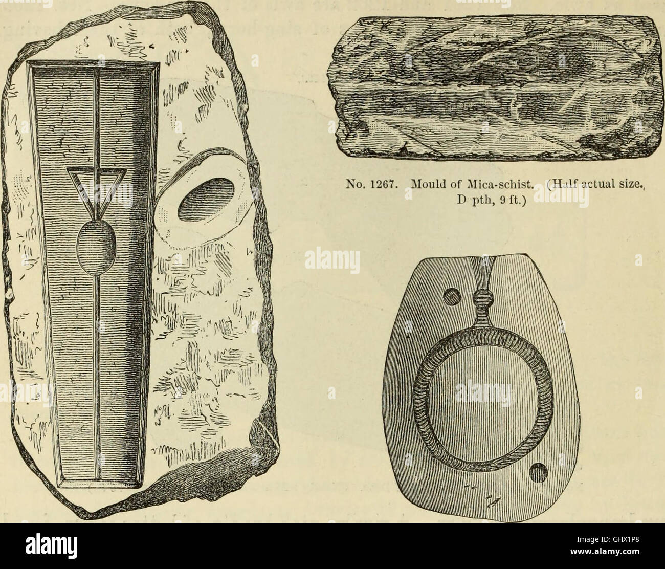 This work details the discoveries and research conducted at the site of ...