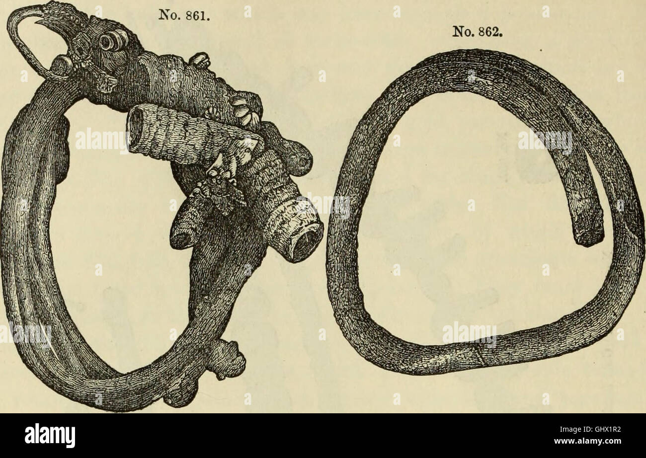 This work details the archaeological discoveries made at Troy and the ...