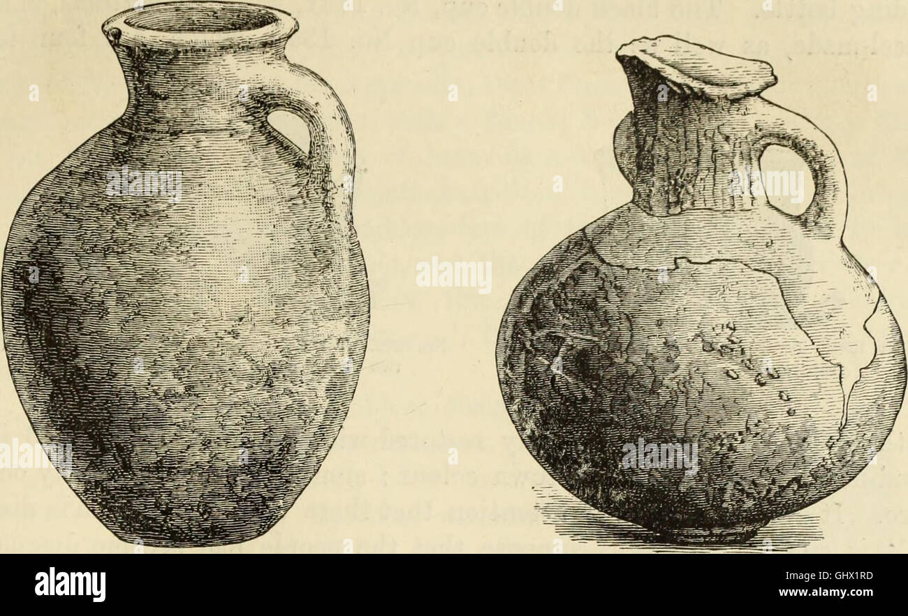 This work examines the archaeological discoveries made at Troy and the ...